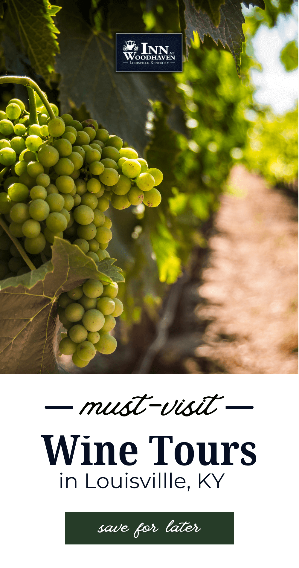 More Than Bourbon — Louisville, KY Wine Tours and Tastings
