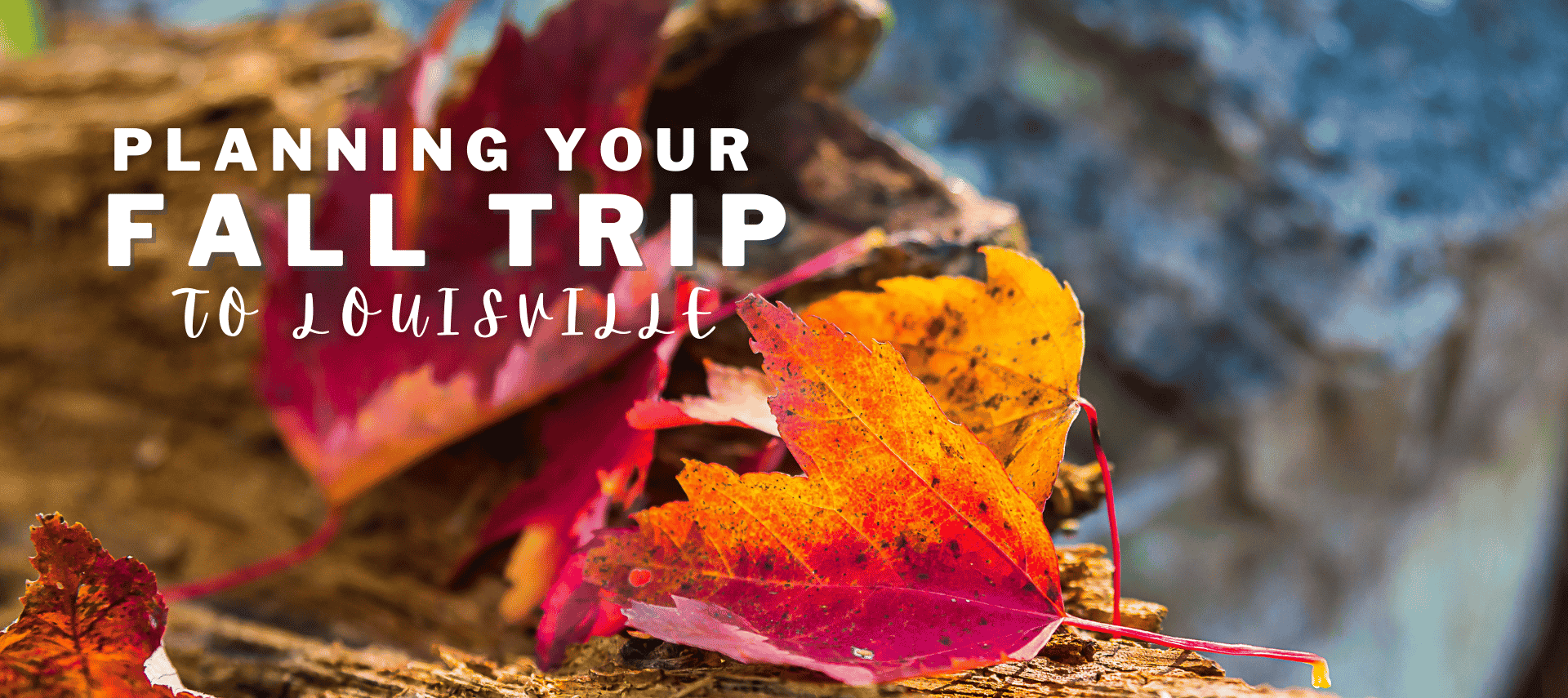 Exciting Louisville Fall Festivals (2025)